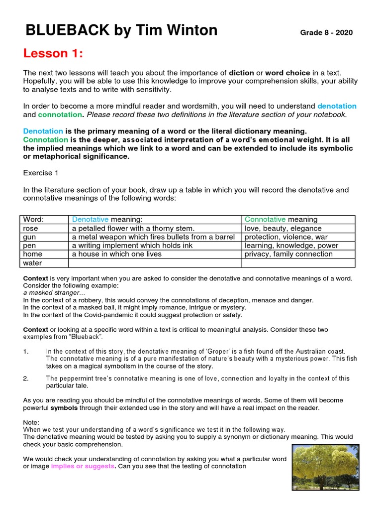 Lesson 01 - Blueback PDF | PDF | Reading Comprehension | Semiotics