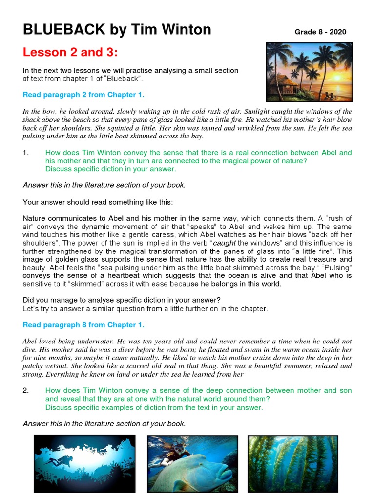 Lesson 02 and 03 - Blueback PDF | PDF