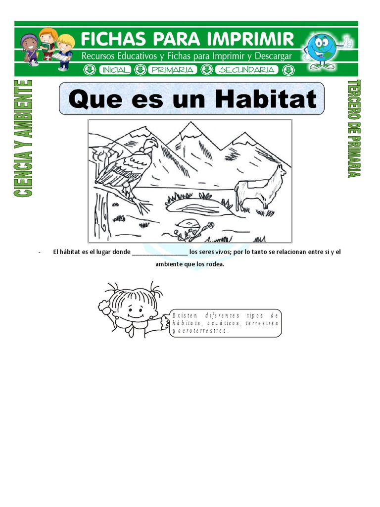 Ficha de Que Es Un Habitat para Tercero de Primaria | PDF