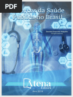 Manual Do Operador Executante Sisreg III (179 021210 SES MT) PDF | PDF ...