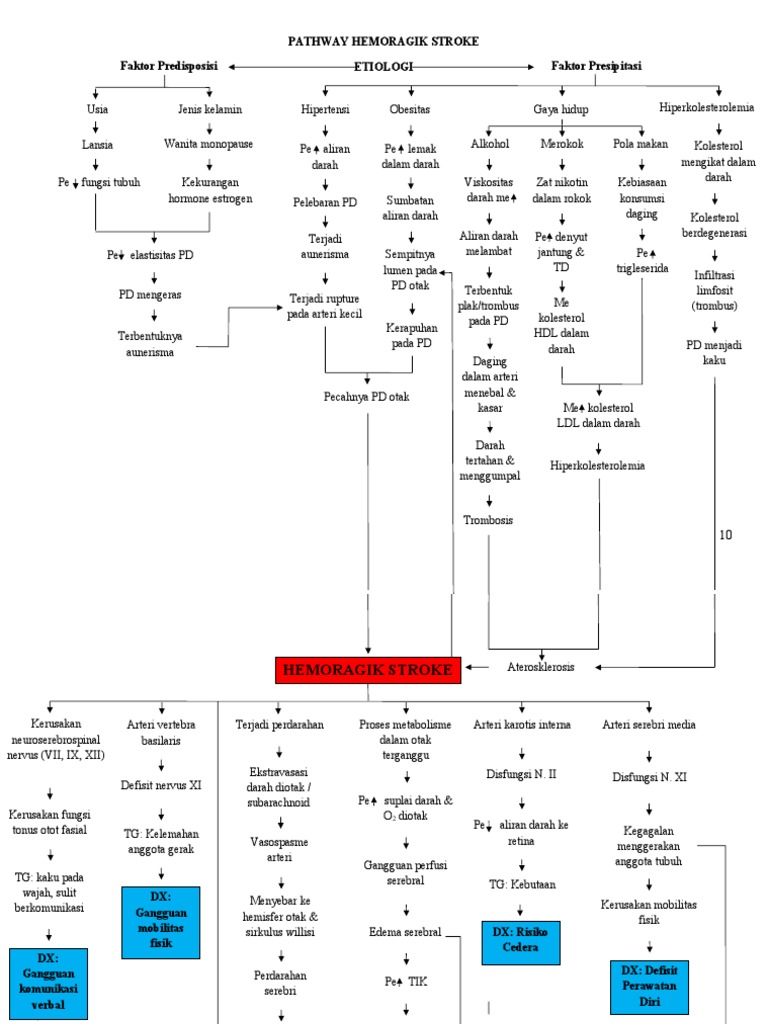 Pathway Hemoragik Stroke Etiologi Faktor Presipitasi Faktor Predisposisi