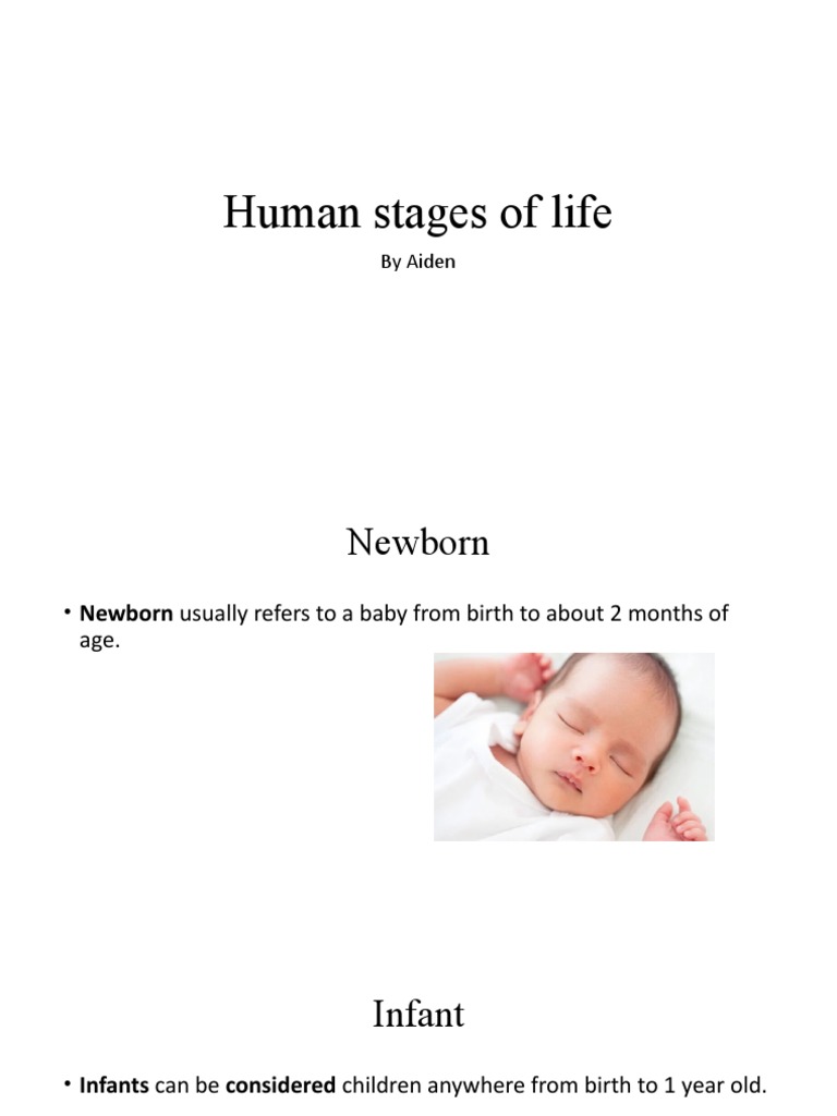 Human Stages of Life | PDF