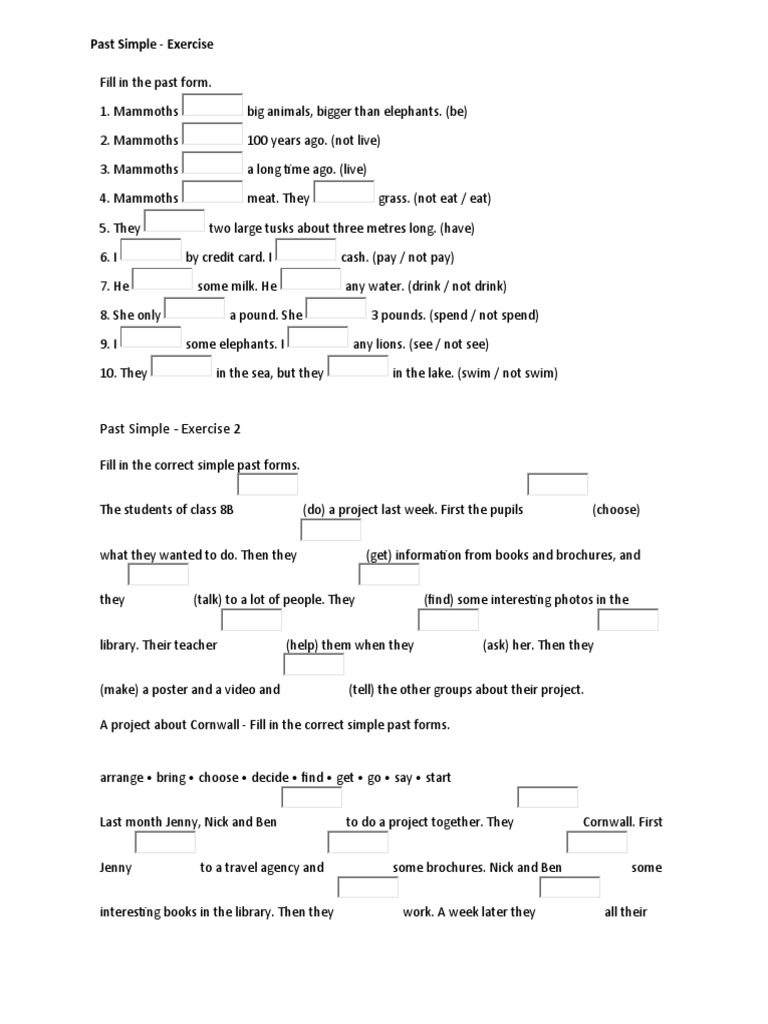 Grammar Ex Past | PDF