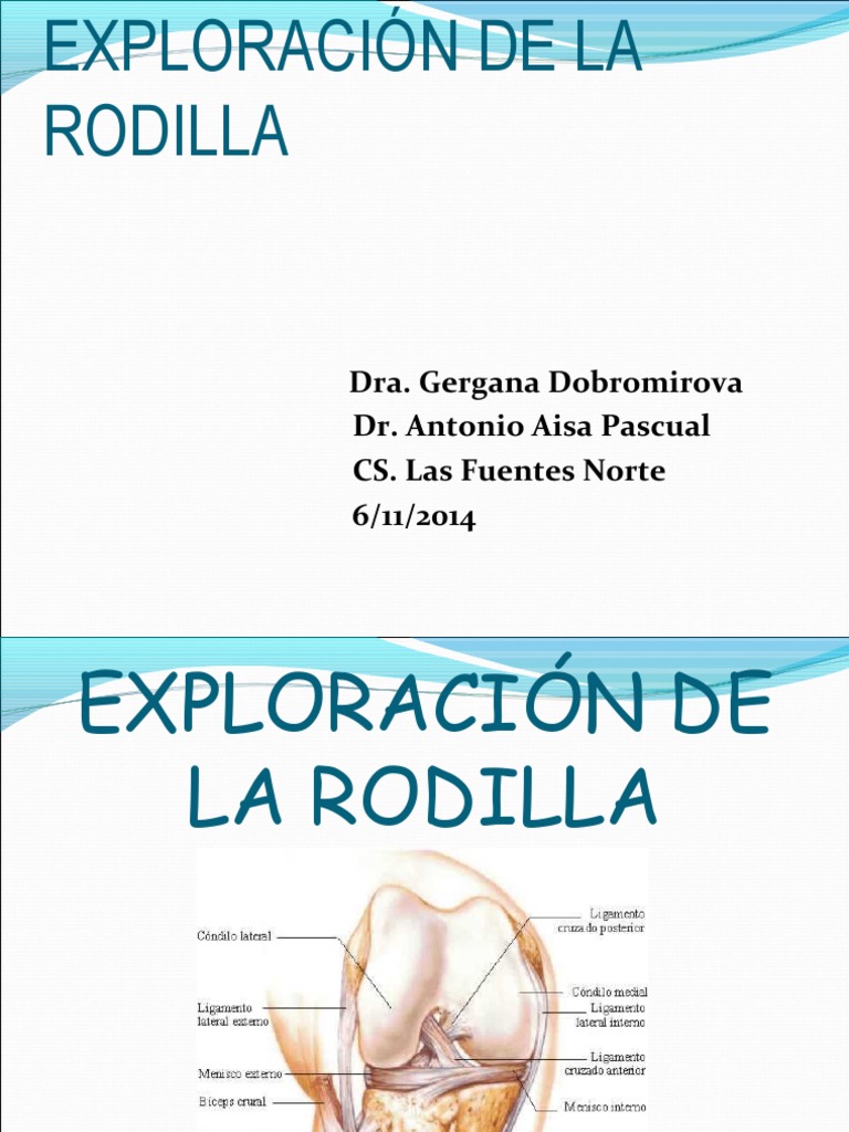 Exploración y Semiología de la Rodilla | PDF | Rodilla | Anatomía del ...