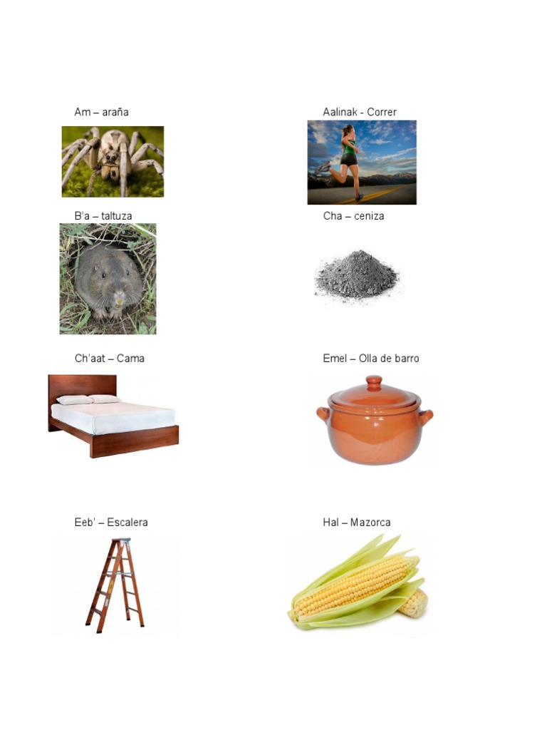 Palabras Con Cada Letra Del Alfabeto Q Eqchi Ilustradas | PDF
