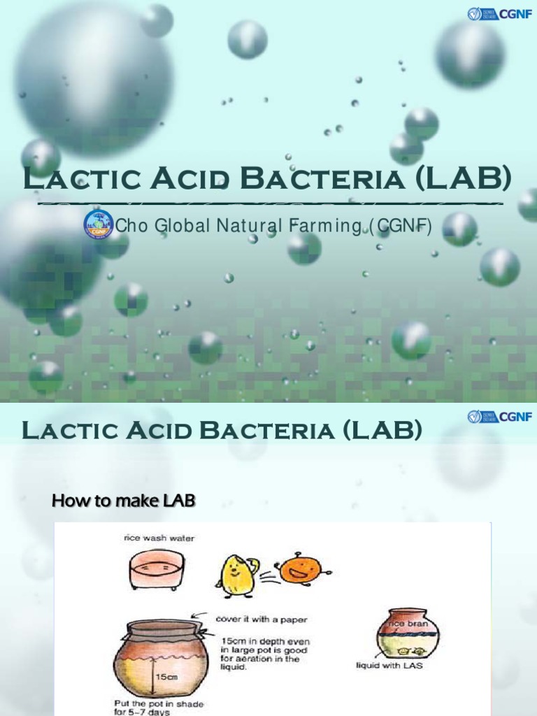 Making and Using Lactic Acid Bacteria | PDF | Wellness | Science ...