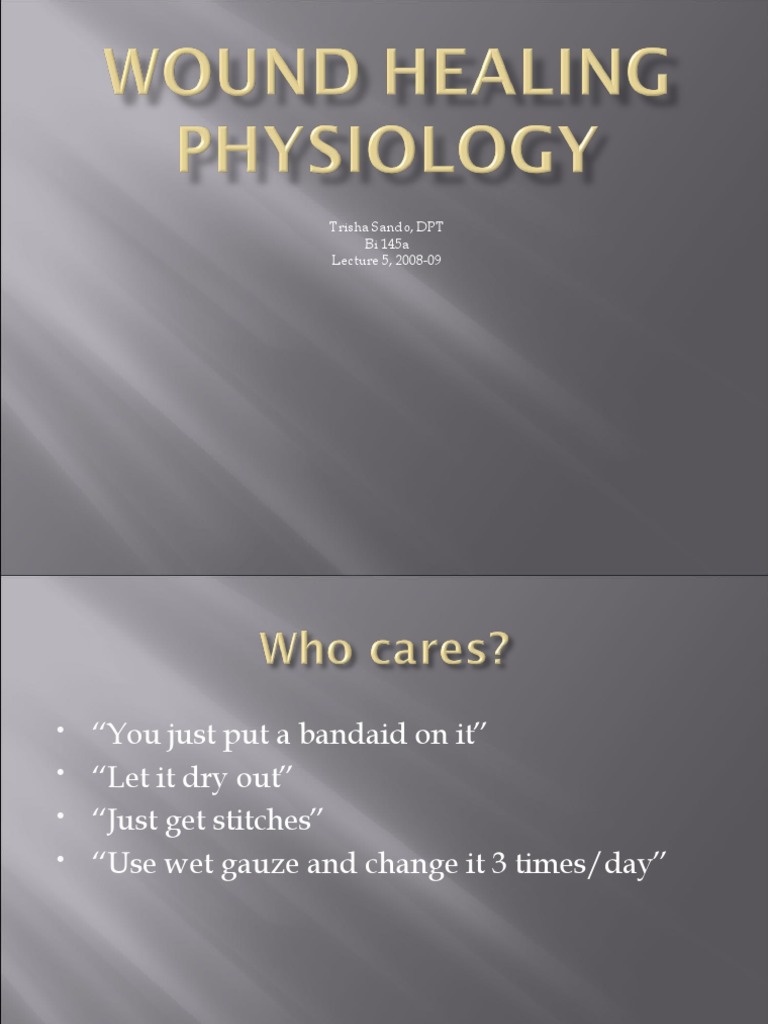 Promoting Optimal Wound Healing: A Review of Skin Anatomy, Wound ...