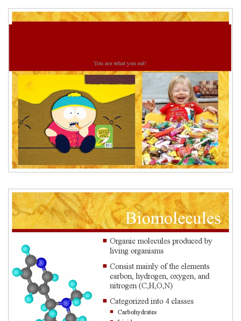 Biomolecules: You Are What You Eat! | PDF | Nucleotides | Carbohydrates