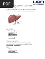 Ficha Técnica Quantrel | PDF | Medicamentos con receta | El embarazo