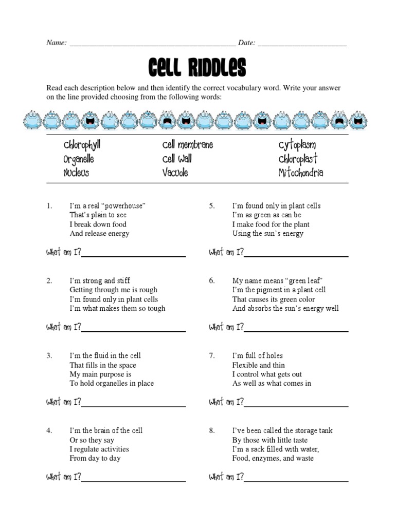 Cell Organelle Riddles | PDF | Chloroplast | Vacuole