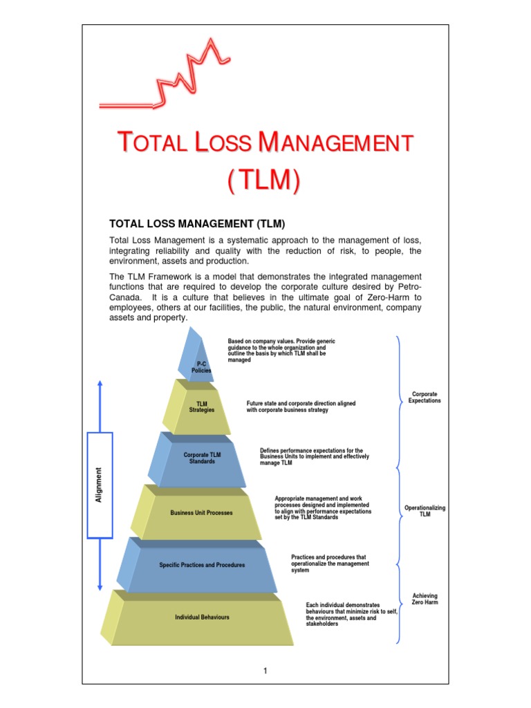 Total Loss Management Framework Guide | PDF | Risk | Safety