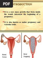 Amorphus Globosus Monster Buffalo | PDF | Fetus | Childbirth