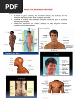 Surface Landmarks and Body Habitus | PDF | Thorax | Vertebra