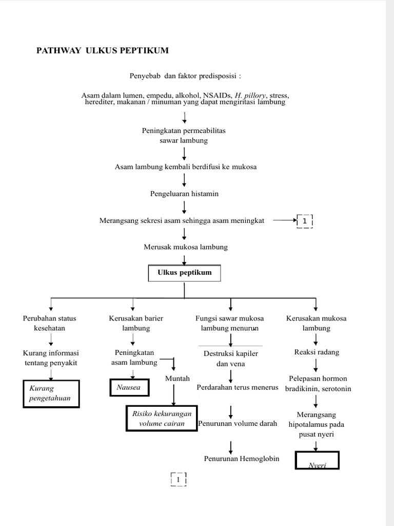 Dokumen - Tips - Pathway Ulkus Peptikum | PDF