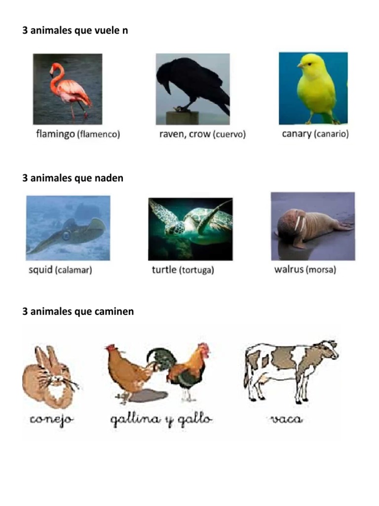 3 Animales Que Vuelen Nadan Caminan | PDF