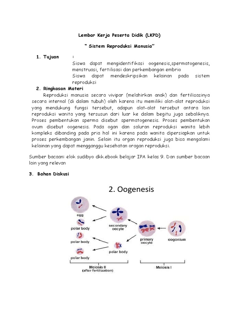 LKPD Sistem Reproduksi Manusia | PDF