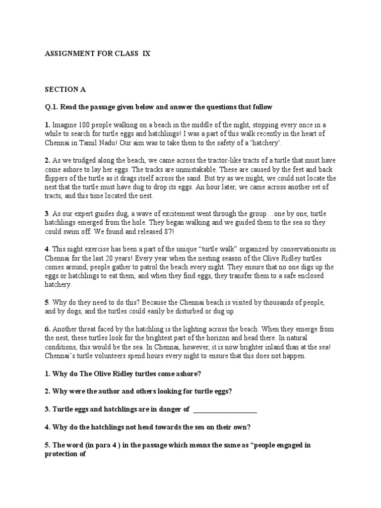 CBSE Class 9 English - Revision | PDF | Lighthouse | Turtle