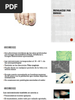 Podologia - Onicoplastia | PDF | Clavo (anatomía) | Medicina