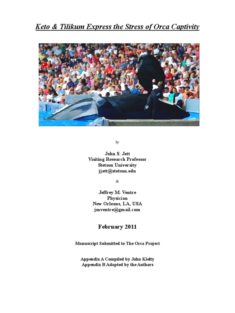 Orca Captivity: Stress and Consequences | PDF | Killer Whale | Sea World