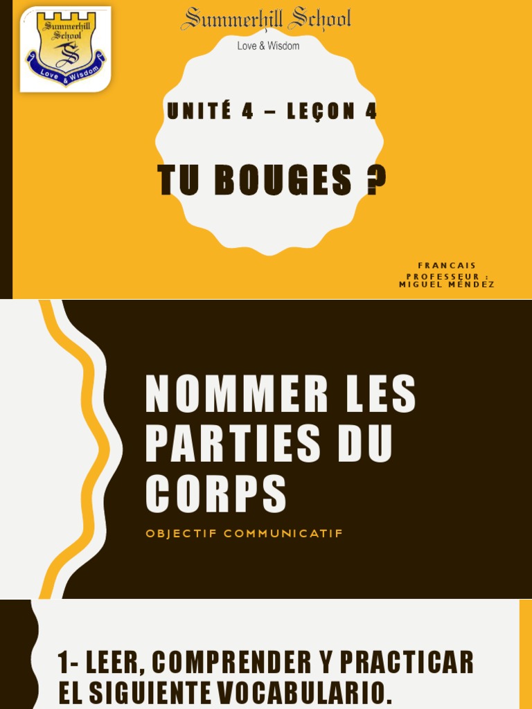 4° Unité 4 - Leçon 4 | PDF