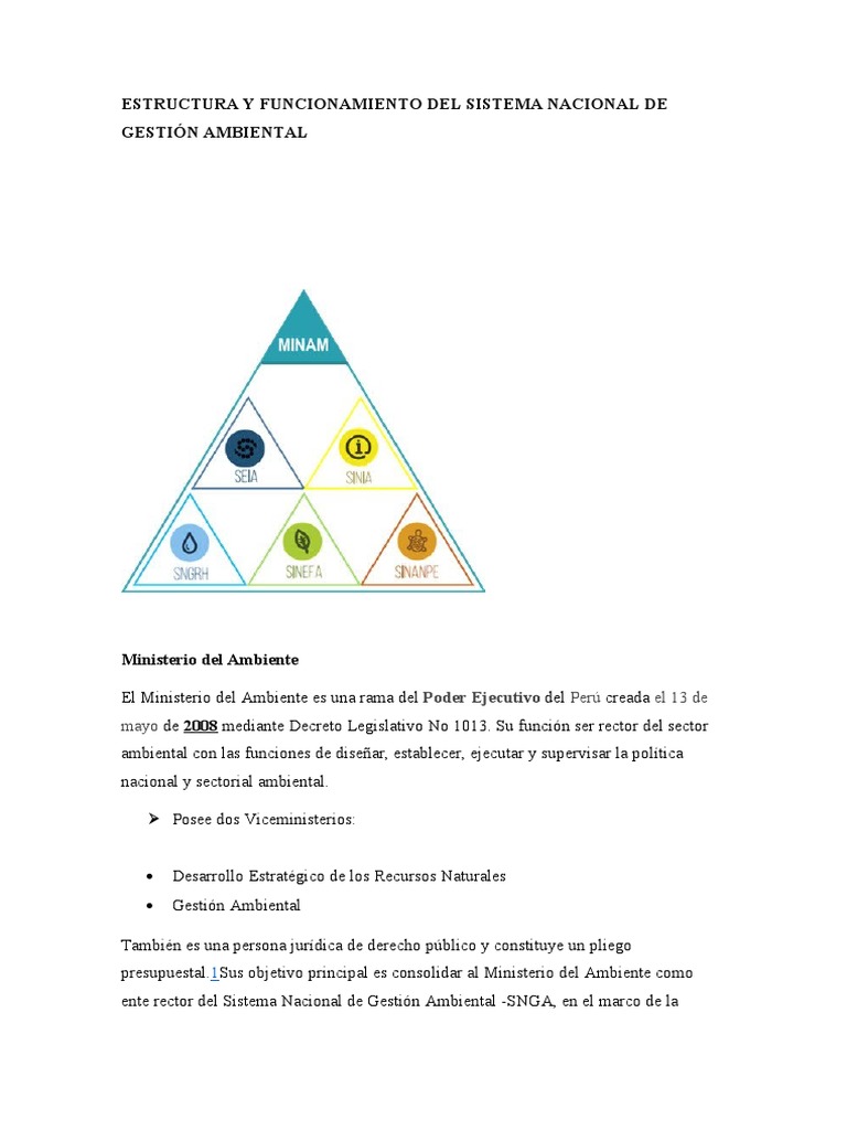 Estructura y Funciones Del Snga | PDF | Entorno natural | Política