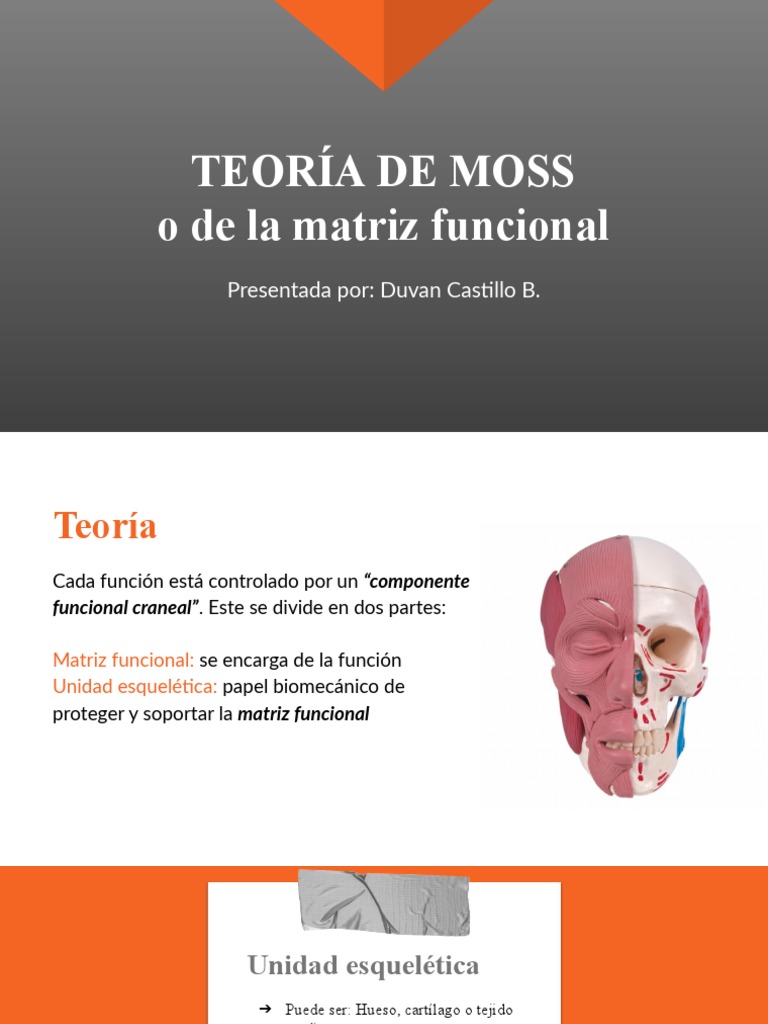 Teoria de Moss | PDF | Cráneo | Hueso