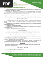 Concorde ICL Brazil | PDF | Agricultura