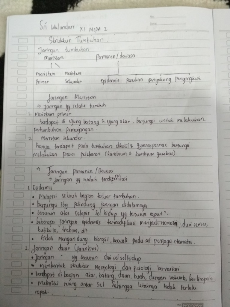 Biologi Sri Wulan Mipa 2 PDF | PDF