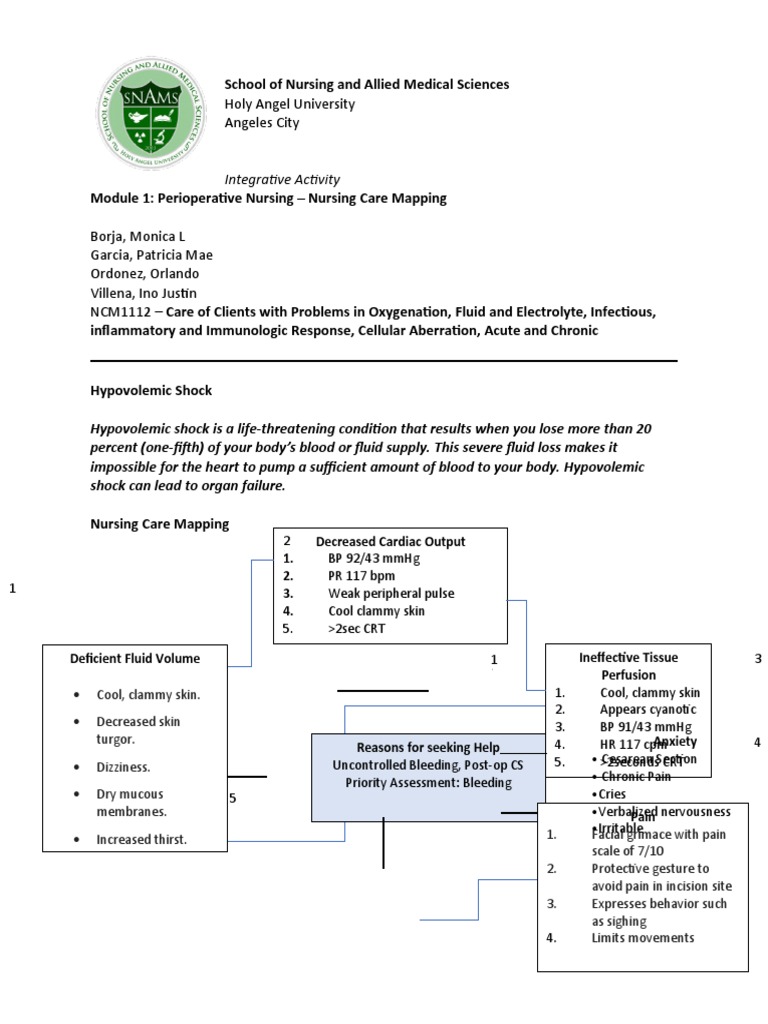 Latest1 Integrative Activity Nursing Care Mapping v3 | PDF | Shock ...