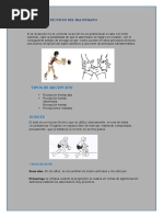 Técnica Recepción Handball | PDF