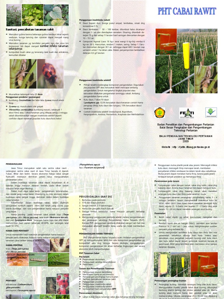 Pengendalian Hama Tanaman Cabai | PDF | Griya & Taman | Sains & Matematika