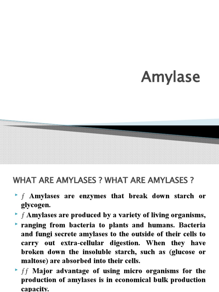 Amylase | PDF | Starch | Enzyme