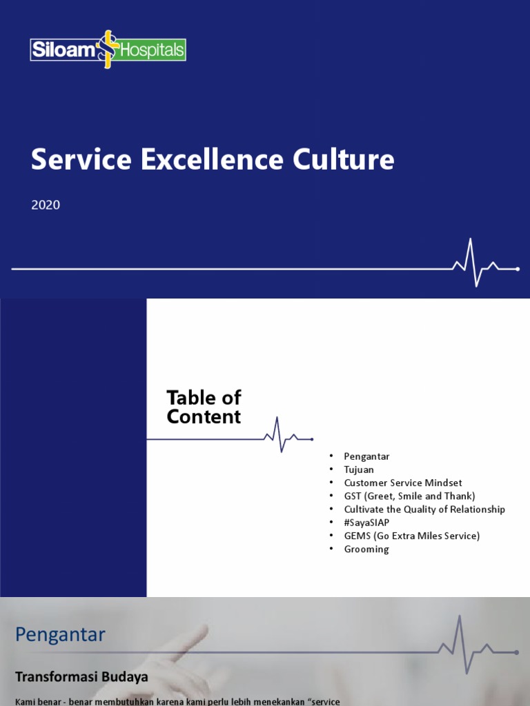 Service Excellence | PDF