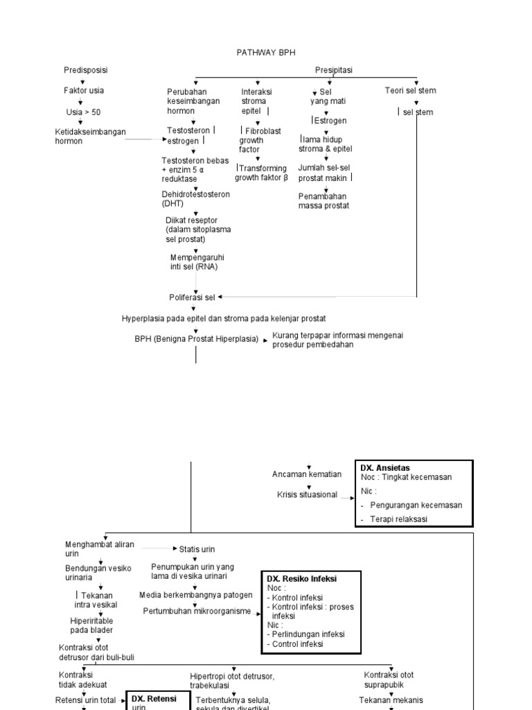 Patoflowdiagram BPH Meti | PDF