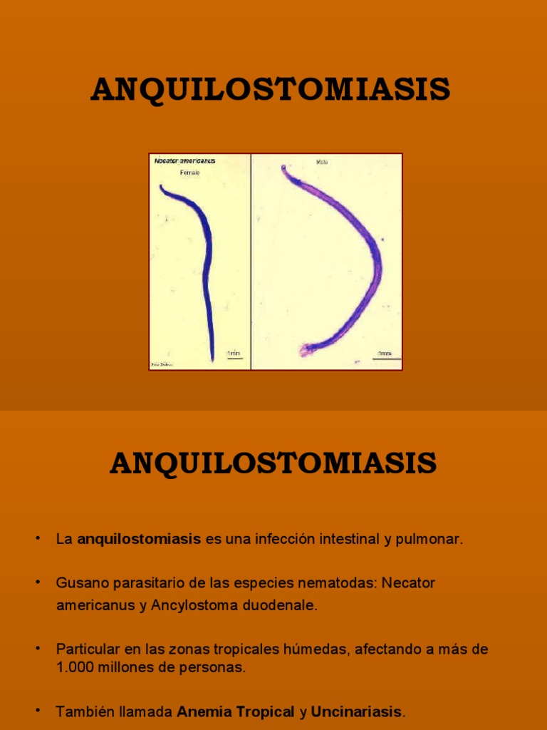 Anquilostomiasis 1 | PDF | Ciencia y matemáticas