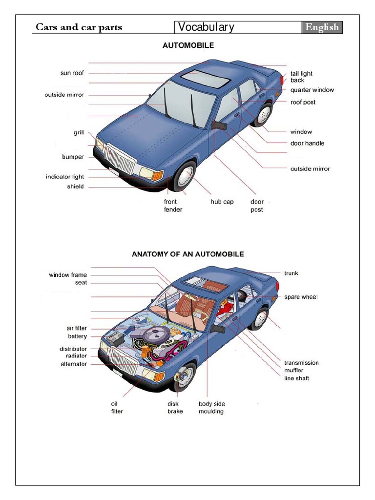 Cars and Car Parts: Vocabulary | PDF | Car | Automotive Industry