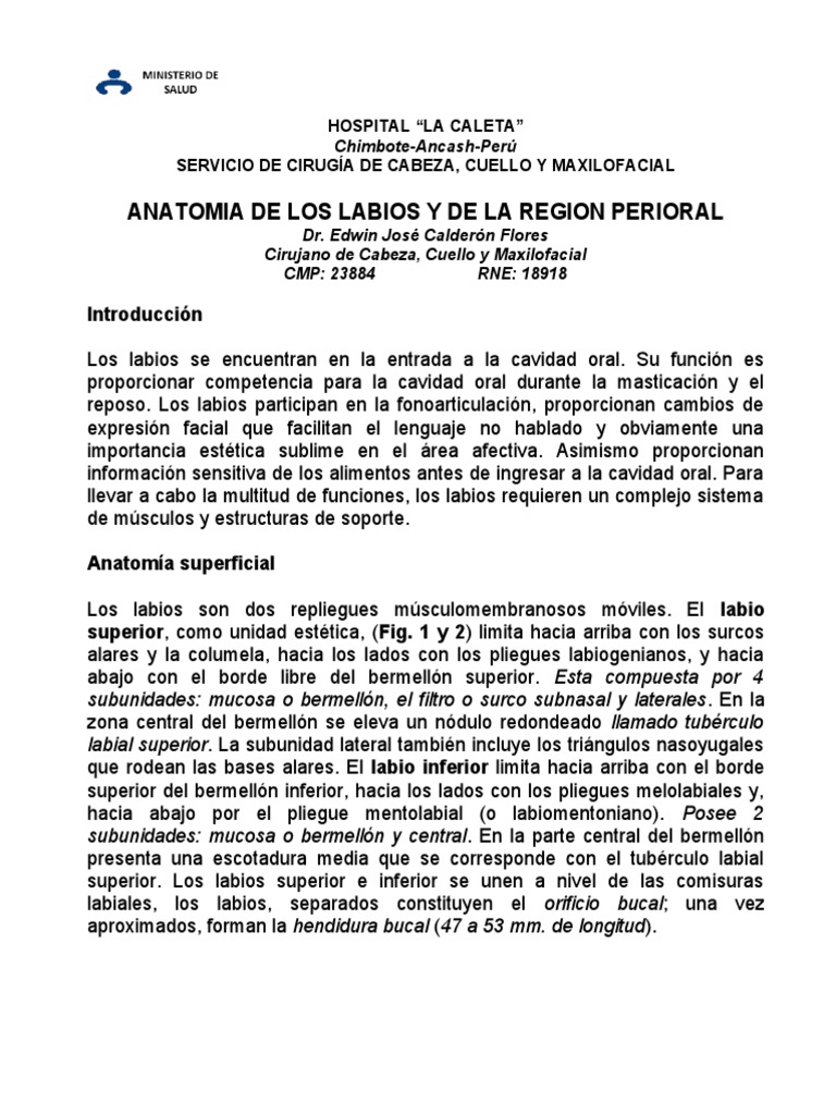 Anatomia de Los Labios y de La Region Perioral | PDF | Cara | Cabeza y ...