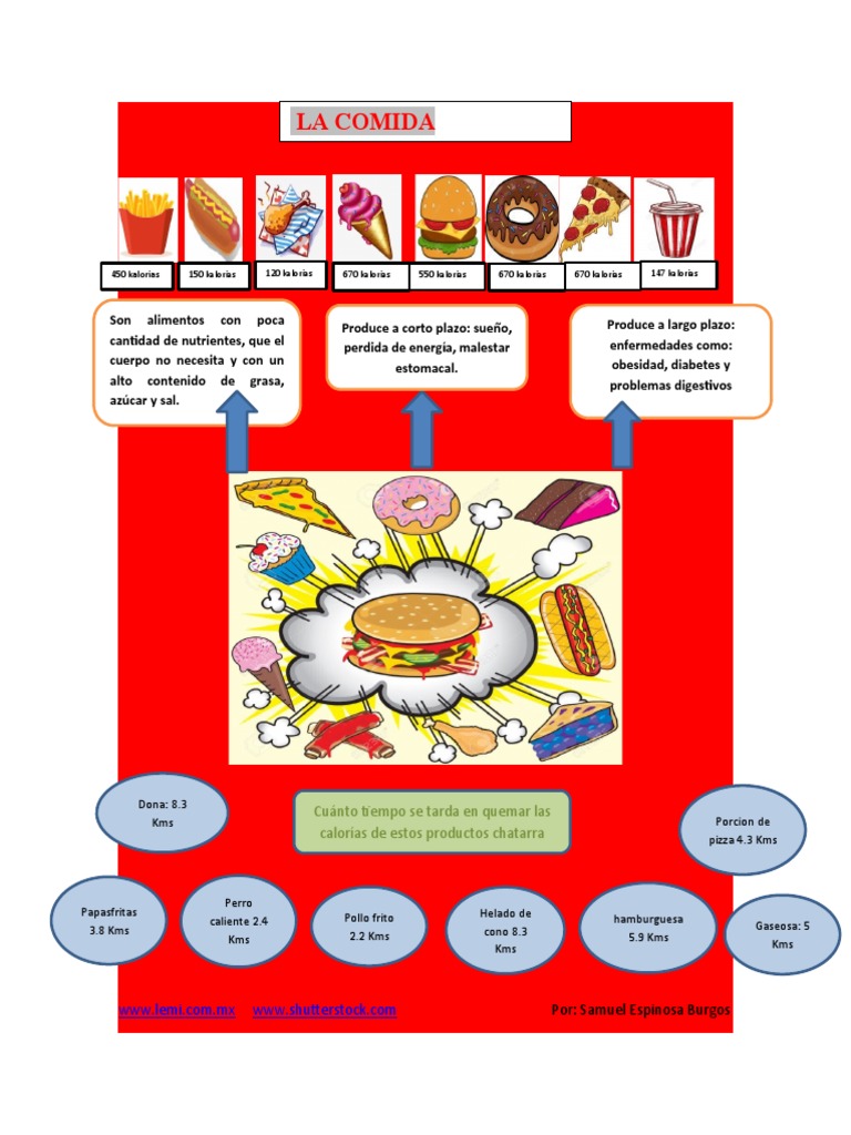 Infografia Sobre Comida Chatarra | PDF