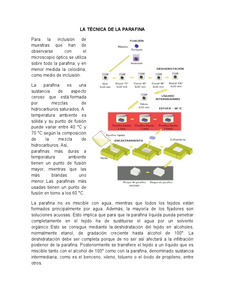 La Técnica de La Parafina | PDF | Alcohol | Punto de fusion