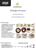 Manual Embriología | PDF | Microscopio | Reproducción