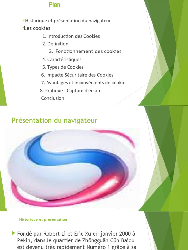 Présentation Du Navigateur | PDF | Baidu | Cookie (informatique)