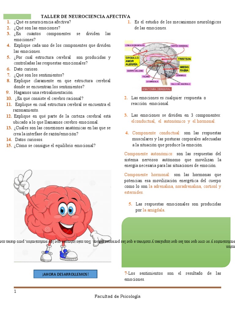 El equilibrio entre la razón y la emoción: Un taller sobre neurociencia afectiva | PDF | Las ...