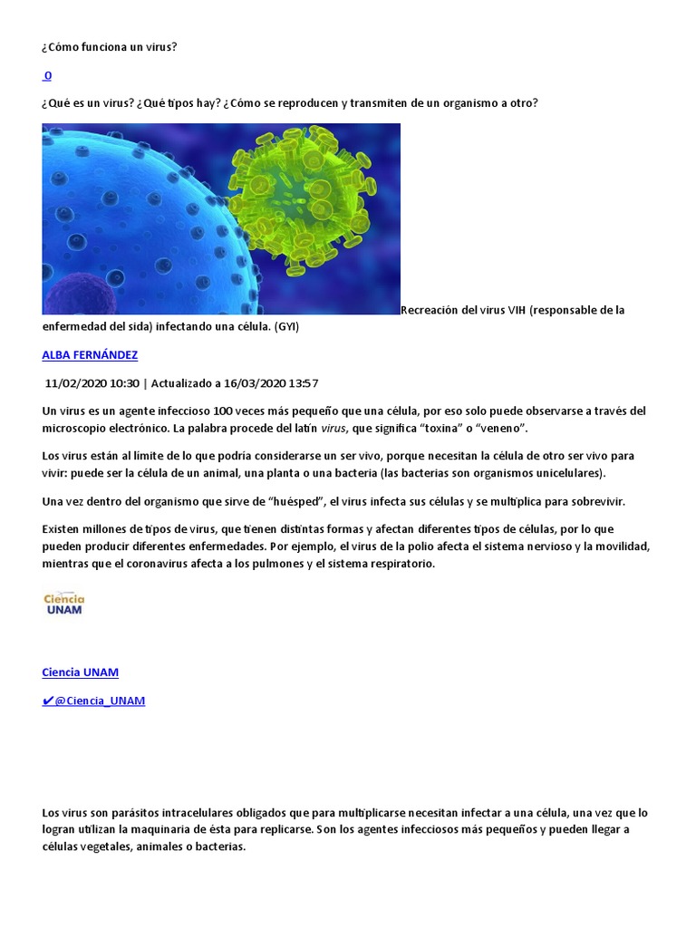 Cómo Funciona Un Virus | PDF | Virus | Sistema inmune