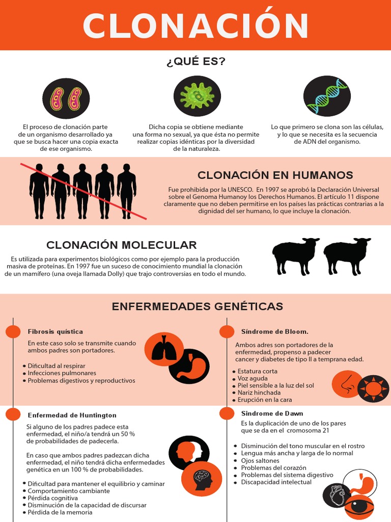 Infografía Clonación | PDF | Clonación | Genética