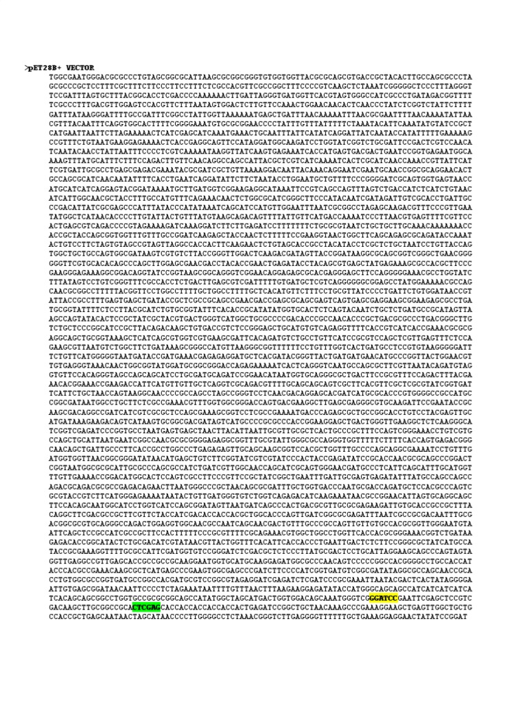 pET28B+ VECTOR | PDF