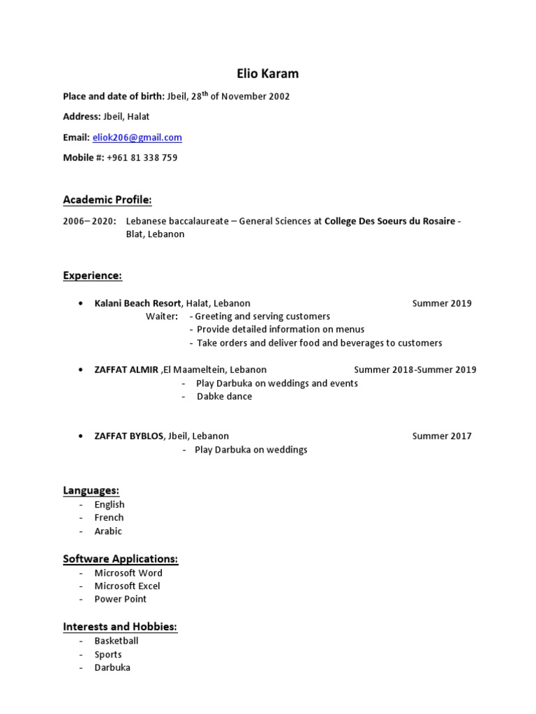 Elio Karam CV PDF | PDF