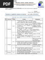 Raport Activitate Model | PDF