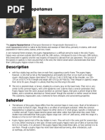 Aspiration Letter | PDF