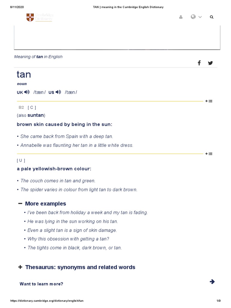TAN - Meaning in The Cambridge English Dictionary | PDF | Lexicology ...