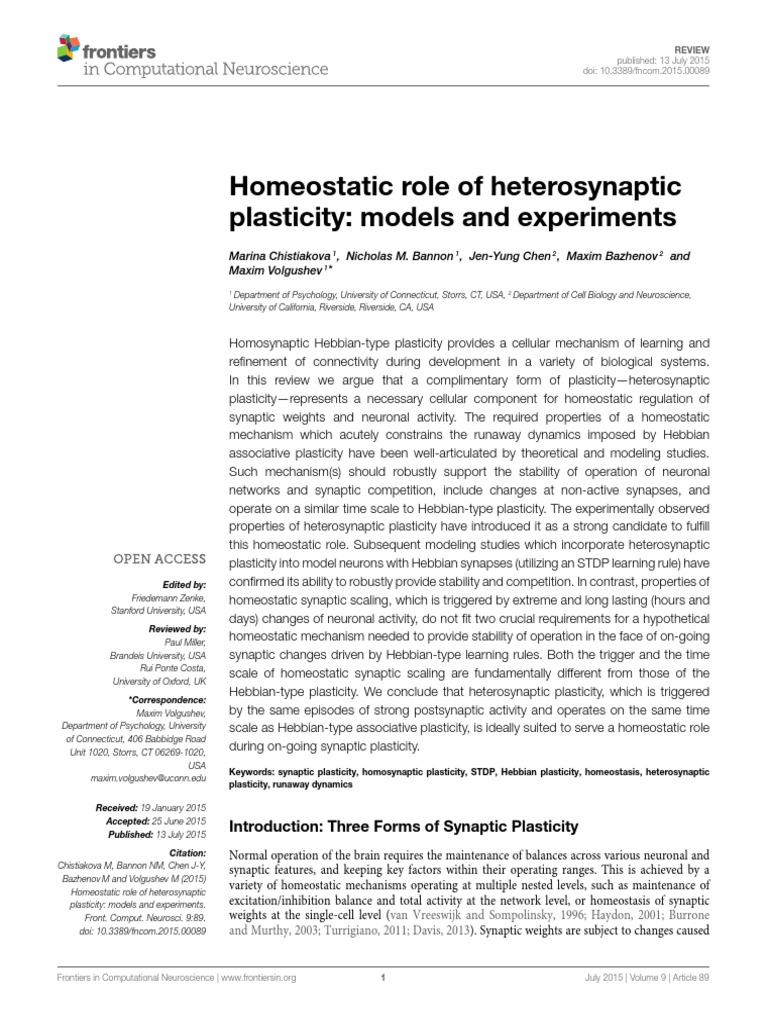 Chistiakova Et Al 2015 Homeostatic Role of Heterosynaptic Plasticity | PDF | Synaptic Plasticity ...